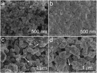 Coherent nanoscale cobalt/cobalt oxide heterostructures embedded in ...