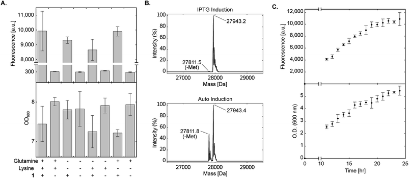 Chemically-defined lactose-based autoinduction medium for site-specific ...