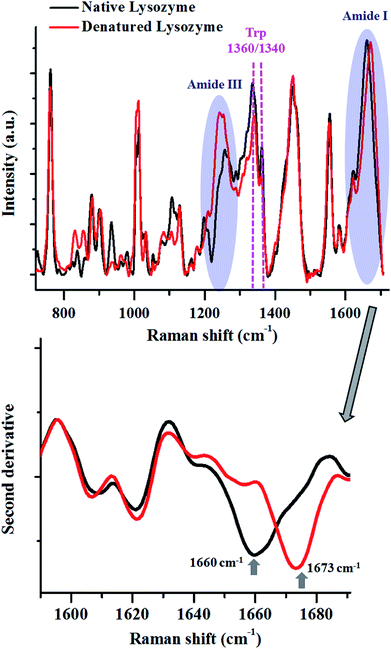 Challenges in application of Raman spectroscopy to biology and ...
