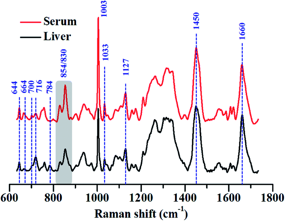 Challenges in application of Raman spectroscopy to biology and ...