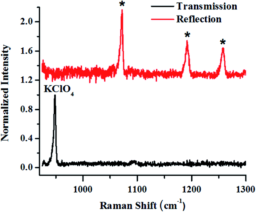 Challenges in application of Raman spectroscopy to biology and ...