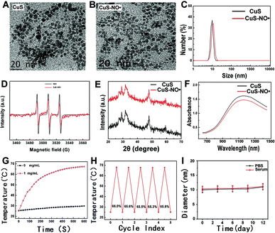 Nitroxide radical-modified CuS nanoparticles for CT/MRI imaging-guided ...