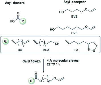 Novel sustainable synthesis of vinyl ether ester building blocks ...