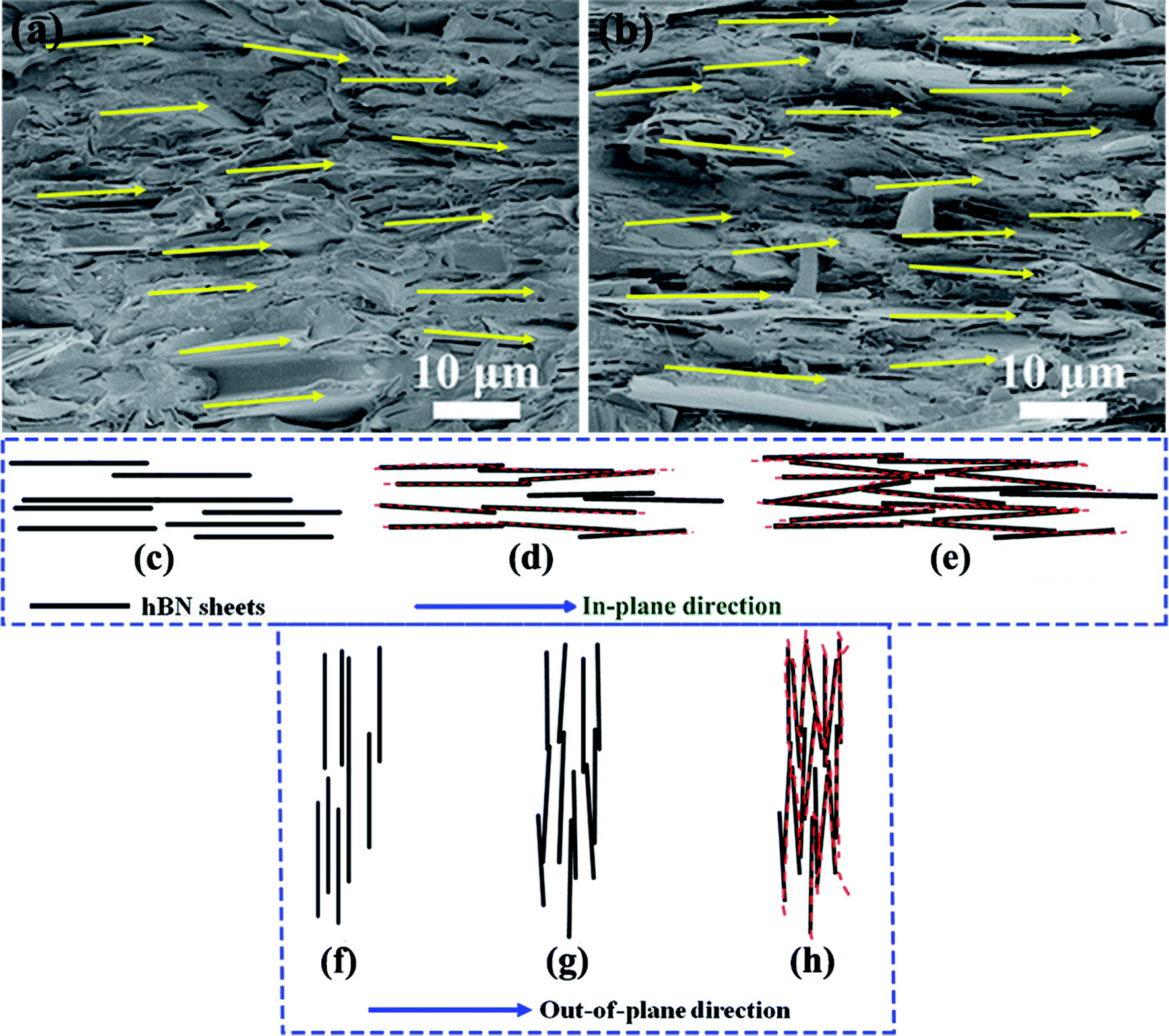 Hot pressing-induced alignment of hexagonal boron nitride in SEBS ...