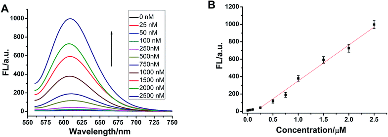 Nucleic acid probe based on DNA-templated silver nanoclusters for turn ...