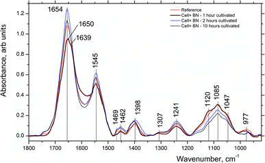 2D-BN nanoparticles as a spectroscopic marker and drug delivery system ...