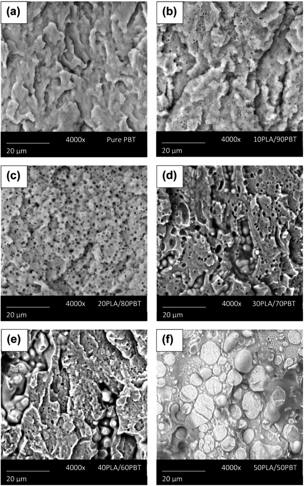 Tuning the compatibility to achieve toughened biobased poly(lactic acid ...