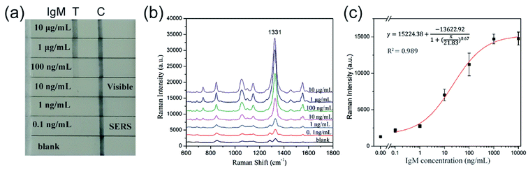 Facile synthesis of high-performance SiO 2 @Au core–shell nanoparticles ...