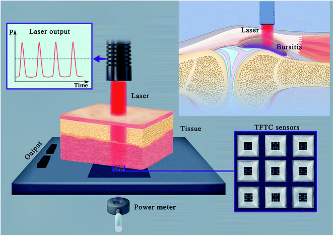 Penetrating effect of high-intensity infrared laser pulses through body ...