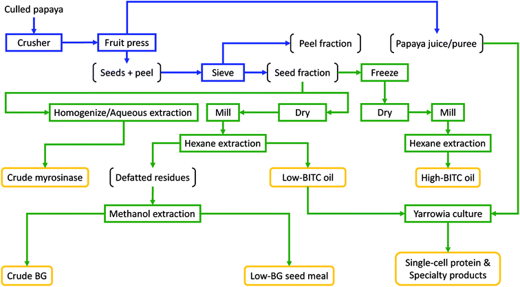 Valorization of papaya fruit waste through low-cost fractionation and ...
