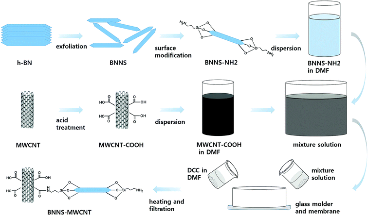 Fabrication of covalently linked exfoliated boron nitride nanosheet ...