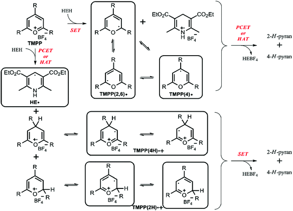 Electron paramagnetic resonance spectroscopic studies of the electron ...