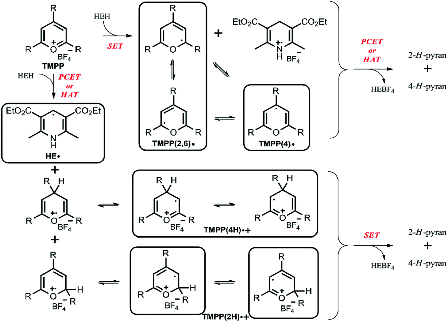 Electron paramagnetic resonance spectroscopic studies of the electron ...