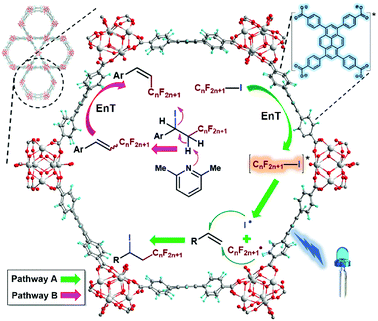 Pyrene-based metal–organic framework NU-1000 photocatalysed atom ...