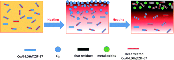 Construction of sandwich-structured CoAl-layered double hydroxide ...