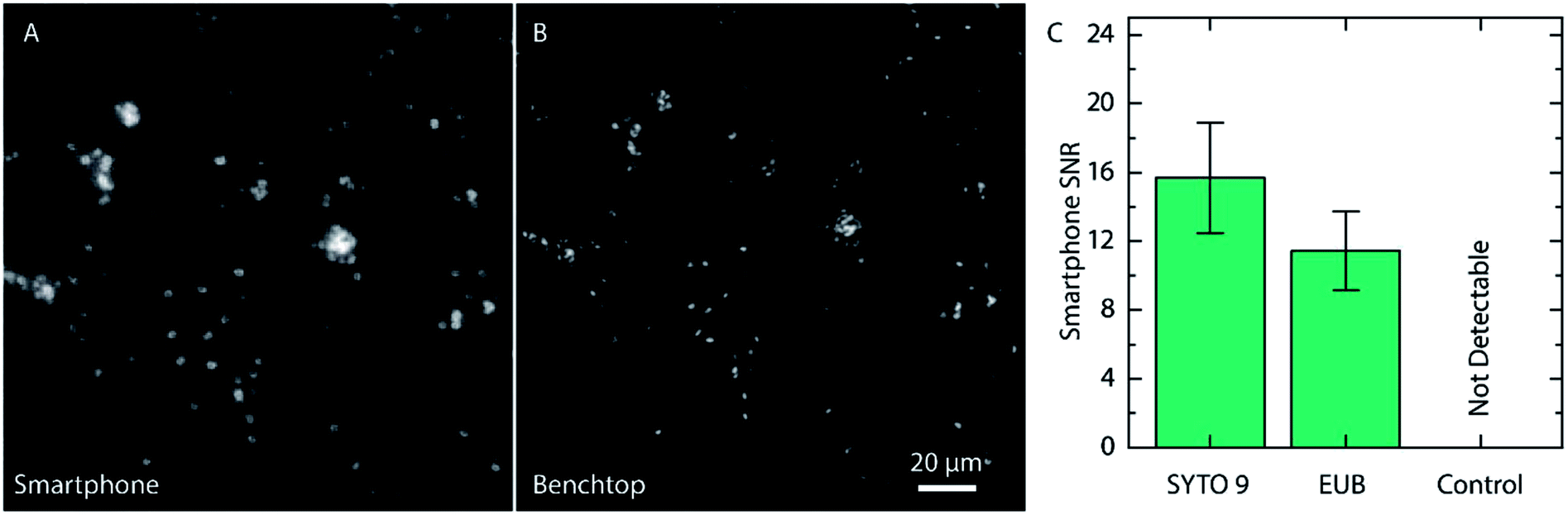 Identification of pathogenic bacteria in complex samples using a smartphone based fluorescence ...
