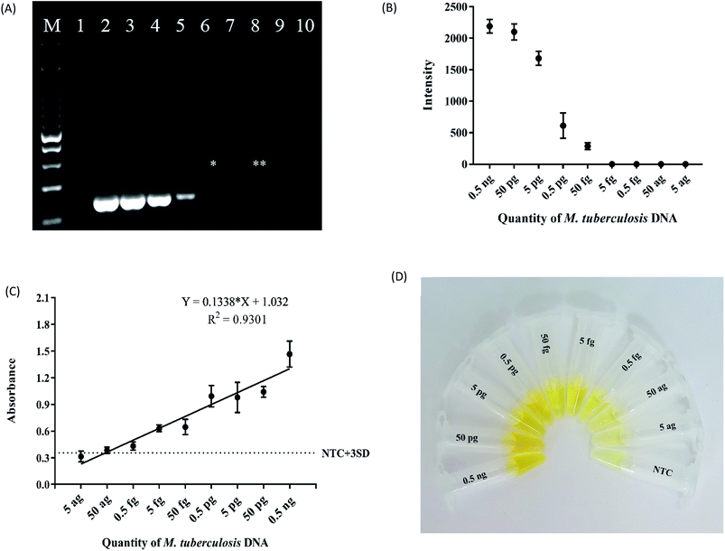 Sensitive detection of the IS 6110 sequence of Mycobacterium ...