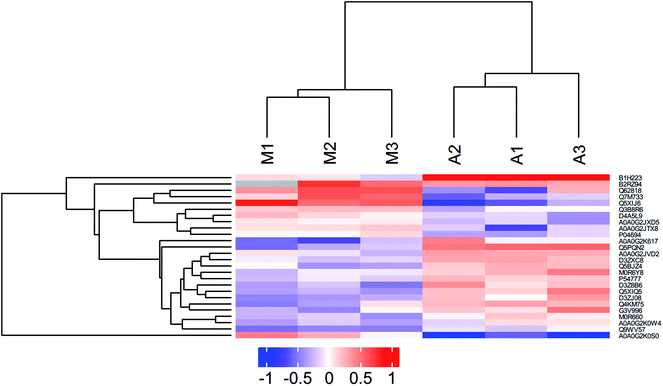 Proteomics for studying the effects of L. rhamnosus LV108 against non ...