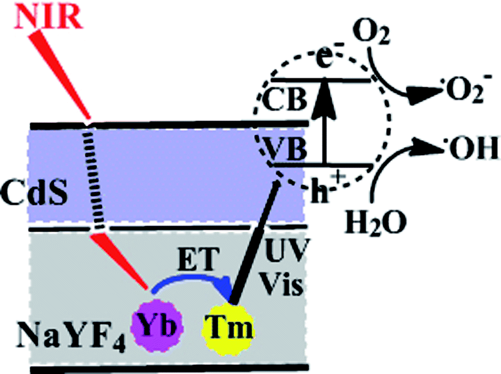 Core–shell structured NaYF 4 :Yb,Tm@CdS composite for enhanced photocatalytic properties - RSC ...