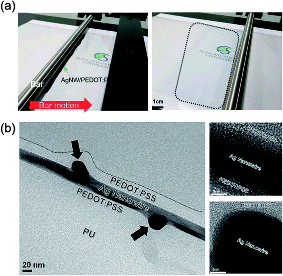Highly stretchable polymer-dispersed liquid crystal-based smart windows ...