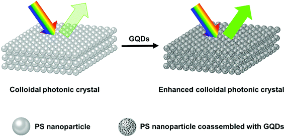 Biomimetic colloidal photonic crystals by coassembly of polystyrene ...