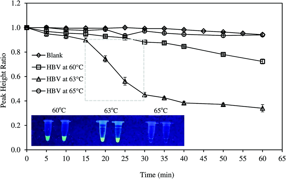 Development of a portable electrochemical loop mediated isothermal ...