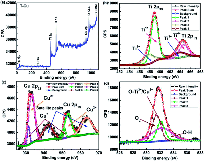 Defect mediated mechanism in undoped, Cu and Zn-doped TiO 2 ...