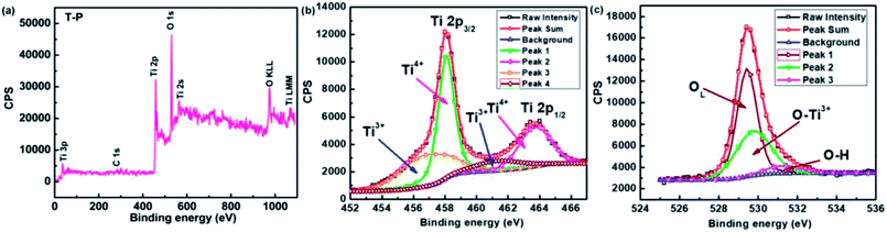 Defect mediated mechanism in undoped, Cu and Zn-doped TiO 2 ...