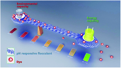 pH-responsive chitosan-based flocculant for precise dye flocculation ...
