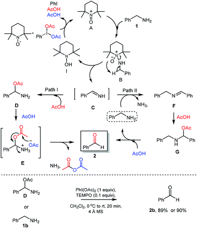 Metal-free hypervalent iodine/TEMPO mediated oxidation of amines and ...