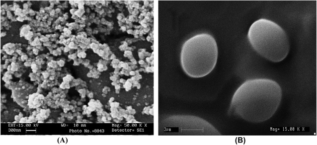 Nanocharacterization of liposomes for the encapsulation of water ...