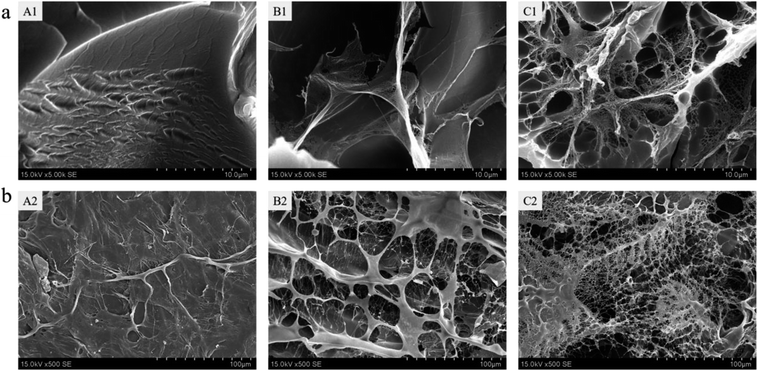 Tough and tissue-adhesive polyacrylamide/collagen hydrogel with ...