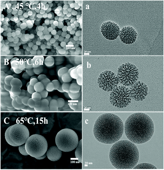 Dual-generation dendritic mesoporous silica nanoparticles for co ...