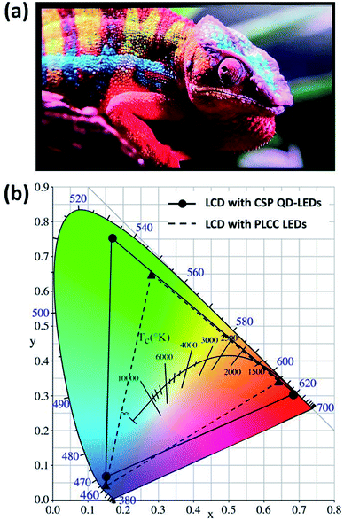 High-performance quantum dot light-emitting diodes using chip-scale ...