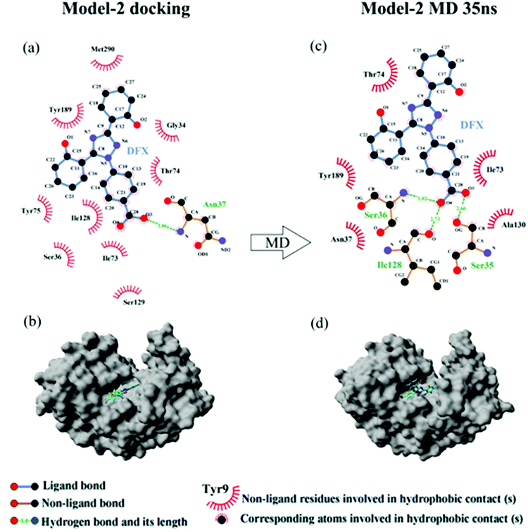 Exploring the binding pattern between pepsin and deferasirox using ...