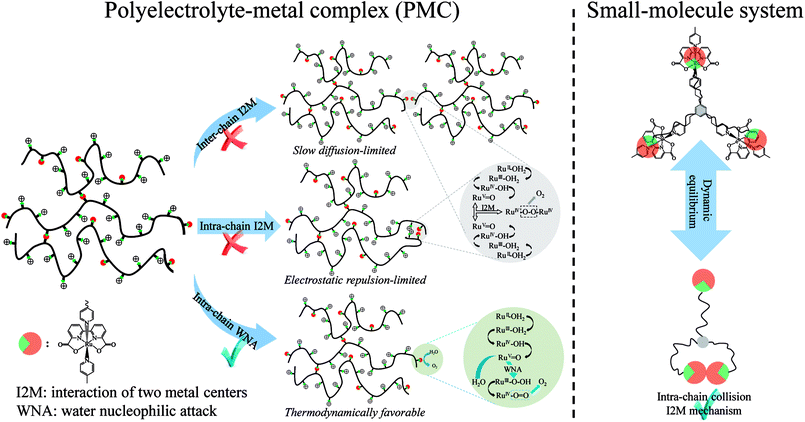 P4VP–Ru II (bda) polyelectrolyte–metal complex as water oxidation ...