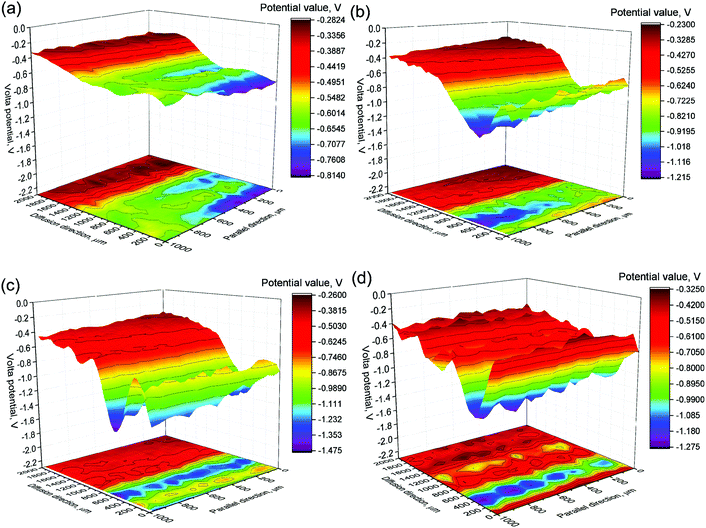 Effect of iron ion diffusion on the corrosion behavior of carbon steels ...