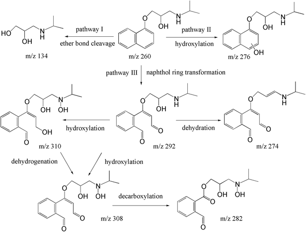 Kinetic and mechanistic investigations of the degradation of ...