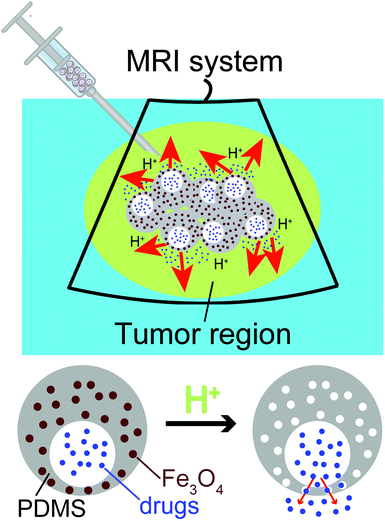 Eccentric magnetic microcapsules for MRI-guided local administration ...