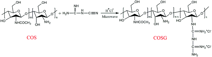 Biguanidine functional chitooligosaccharide modified reverse osmosis ...