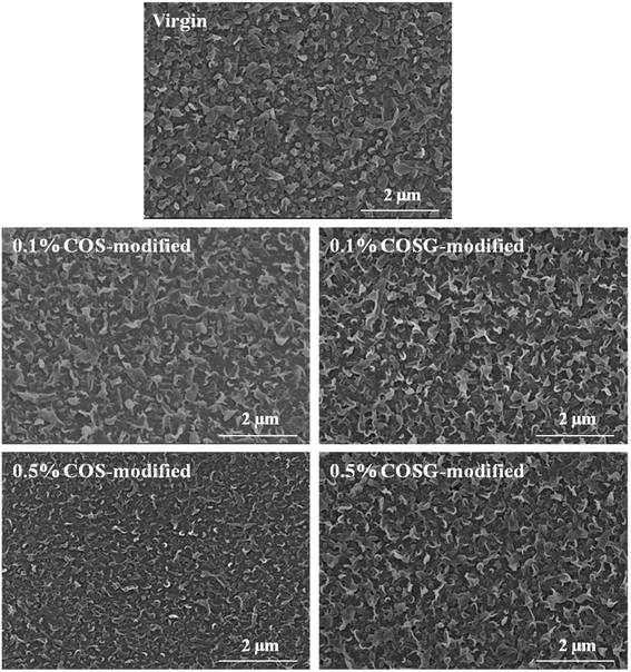 Biguanidine functional chitooligosaccharide modified reverse osmosis ...