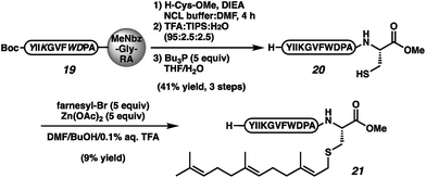 Epimerization-free access to C-terminal cysteine peptide acids ...