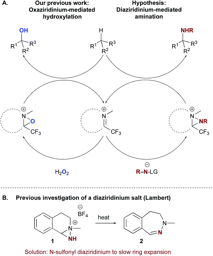 Organocatalytic nitrenoid transfer: metal-free selective intermolecular ...