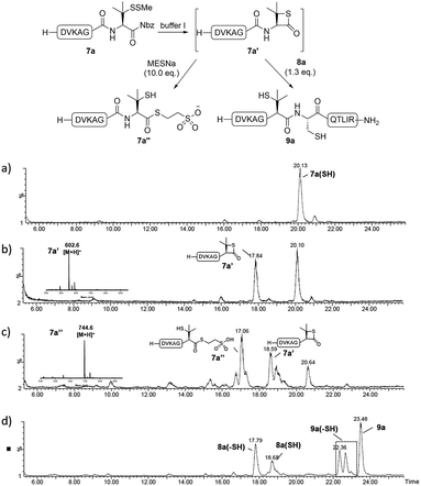 Traceless β-mercaptan-assisted activation of valinyl benzimidazolinones ...