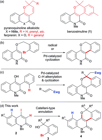 The vinylogous Catellani reaction: a combined computational and ...