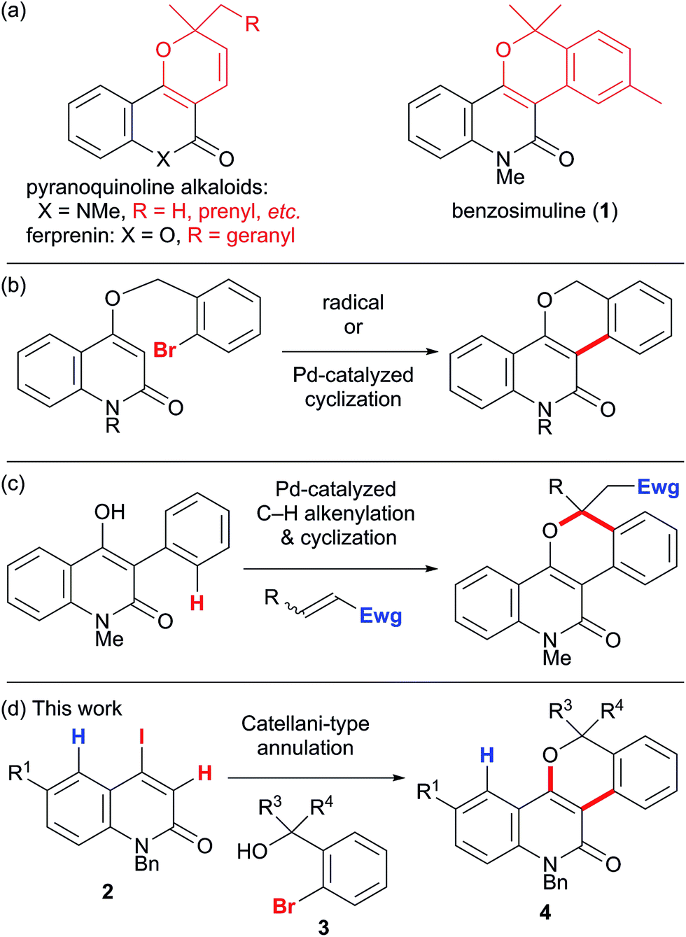 The vinylogous Catellani reaction: a combined computational and ...
