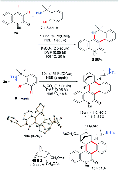 The vinylogous Catellani reaction: a combined computational and ...
