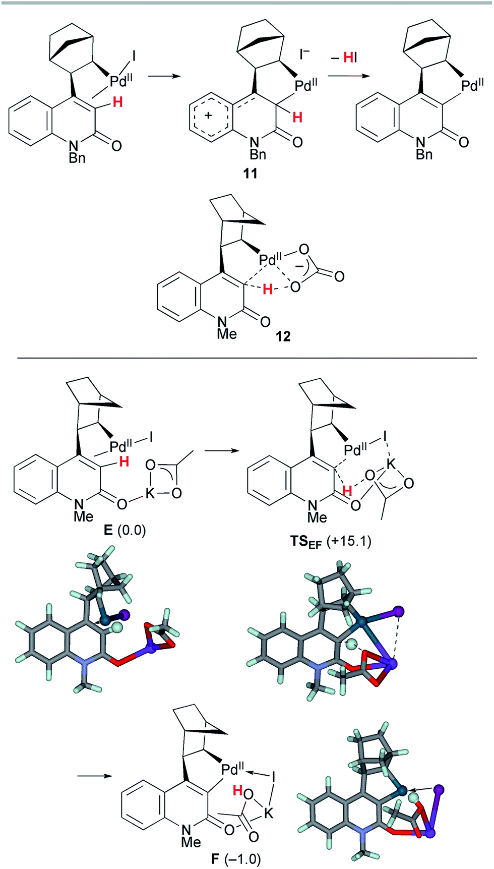 The vinylogous Catellani reaction: a combined computational and ...