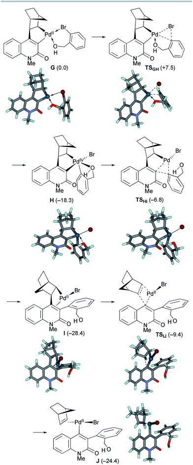 The vinylogous Catellani reaction: a combined computational and ...