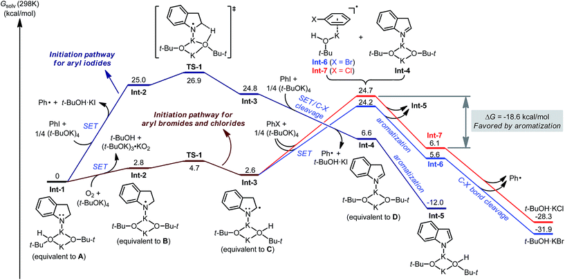 Aromatization modulates the activity of small organic molecules as ...